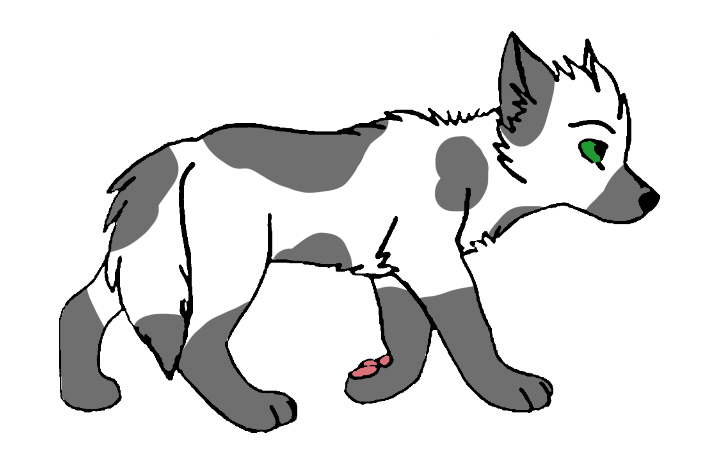 Soul | Fairiie's Warrior Wolves Wiki | Fandom