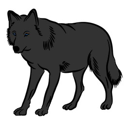 Stormeye | Fairiie's Warrior Wolves Wiki | Fandom