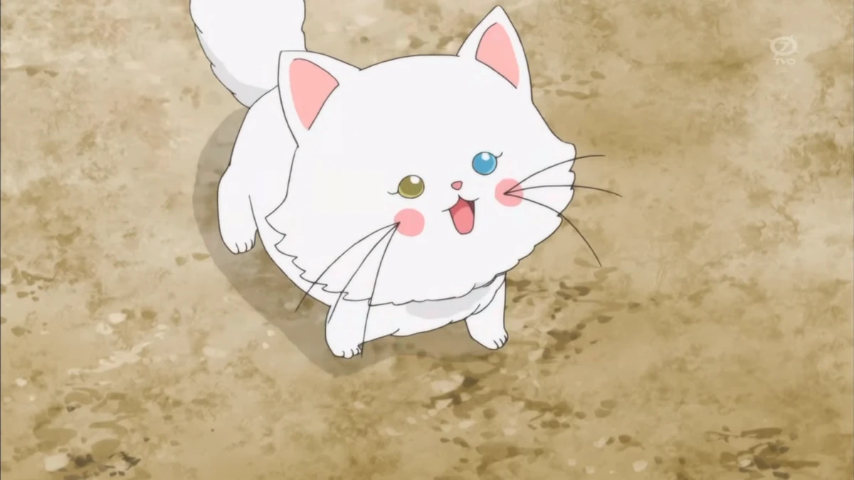 Fee | Rilu Rilu Fairilu Wikia | Fandom