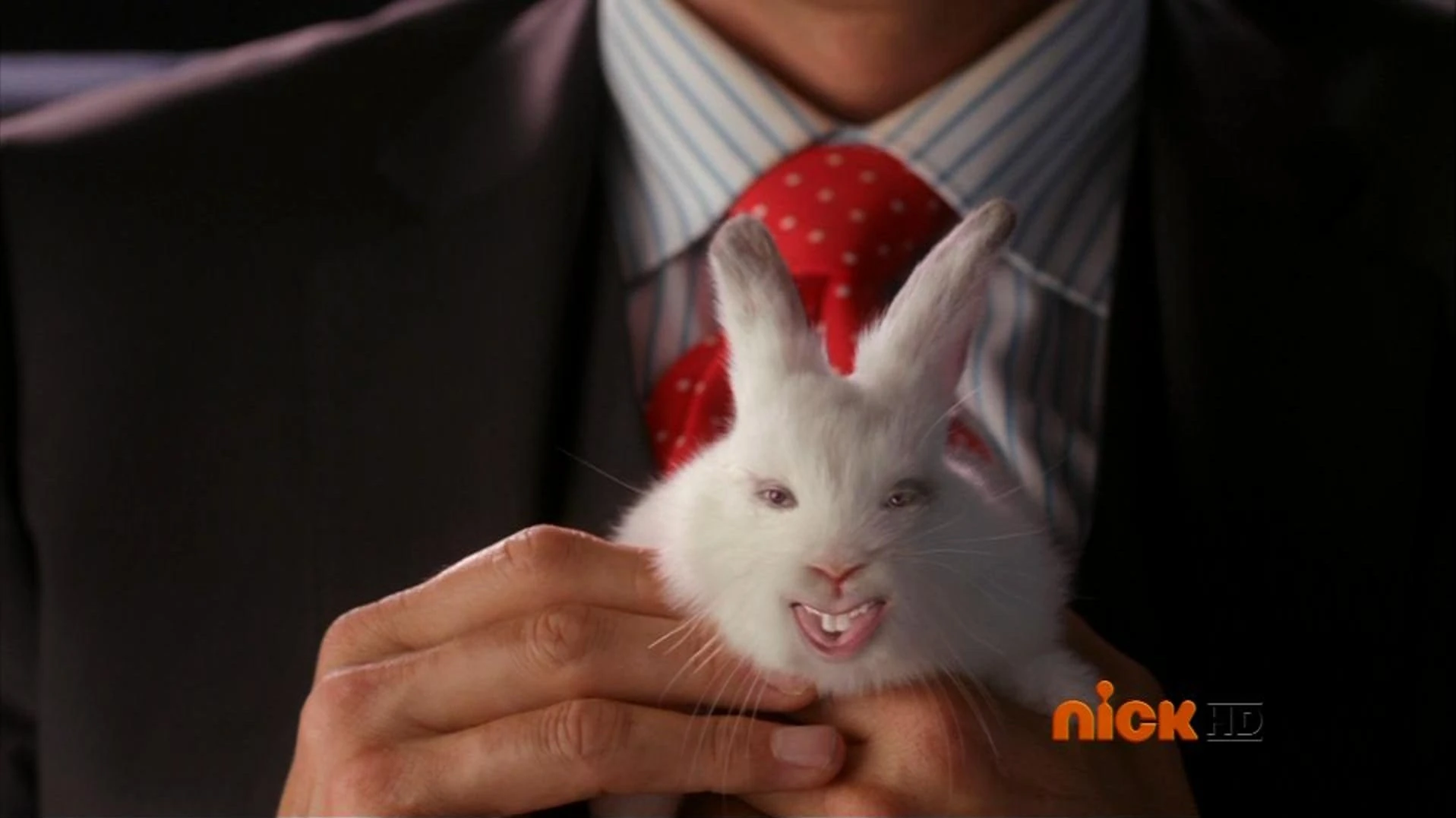 Evil Bunny | Fairly Odd Parents Wiki | Fandom