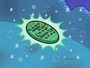 Magic TV Remote | Fairly Odd Parents Wiki | Fandom