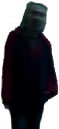 Dominic Sorkisto | FKoKFII | Fandom