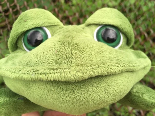 Froggy (plush) | FKoKFII | Fandom