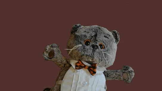 Cotty | FKoKFII | Fandom