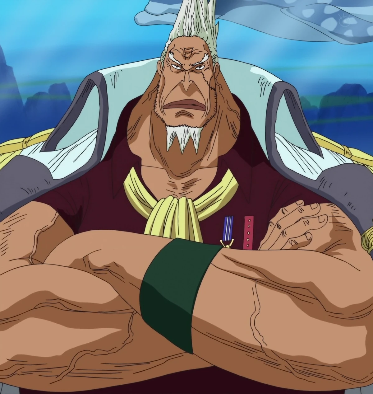 Kong | Fairy One Piece Tail Database Wiki | Fandom