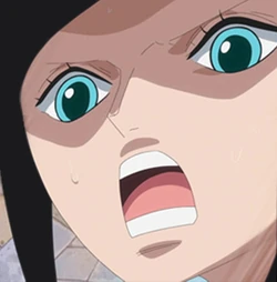 Robin Nico | The Fairy One Piece Tail Universe Wiki | Fandom