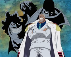 Four Emperors | The Fairy One Piece Tail Universe Wiki | Fandom