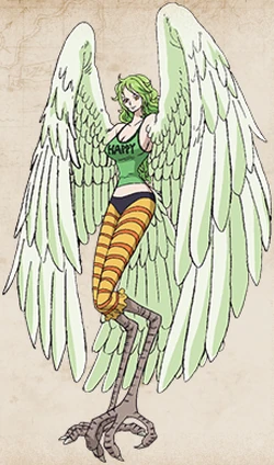 Monet | The Fairy One Piece Tail Universe Wiki | Fandom