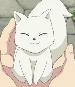 Shiroi | Wiki Fairy Tail FanFiction | Fandom