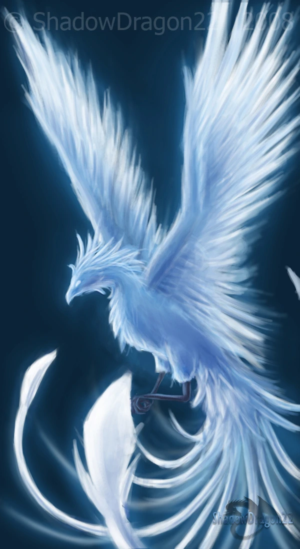Ice Bird | Wiki Fairy Tail FanFiction | Fandom