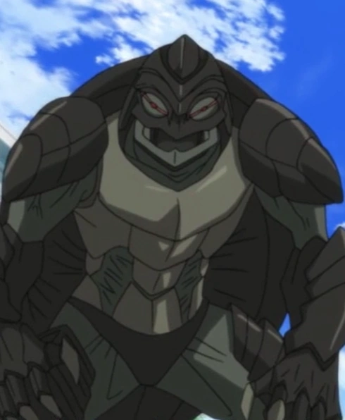 Testudo | Wiki Fairy Tail FanFiction | Fandom