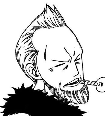 Wakaba Mine | Fairy Tail Wiki | Fandom