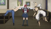 Erza Scarlett | Fairy Tail Wiki | Fandom