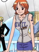 Nami | Fairy One Piece Tail Wiki | Fandom