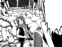 Welcome to Natsu's House | Fairy Tail Wiki | Fandom