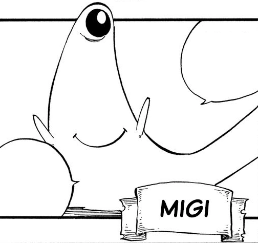 Migi | Fairy Tail Wiki | Fandom