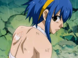 Levy Fairy Tail Mark