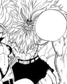 Beast Soul | Fairy Tail Wiki | Fandom