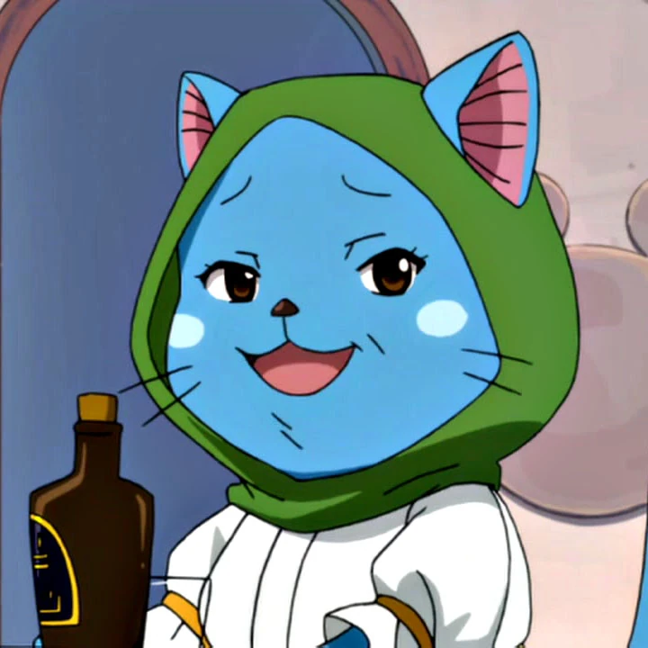 Fairy Tail Happy Human Form