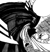 Rogue Cheney (Future)/Image Gallery | Fairy Tail Wiki | Fandom