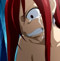 Erza Scarlet/Synopsis | Fairy Tail Wiki | Fandom