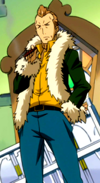 Wakaba Mine | Fairy Tail Wiki | Fandom