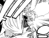 Chapter 394 | Fairy Tail Wiki | Fandom