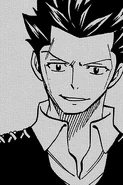 Silver Fullbuster/Image Gallery | Fairy Tail Wiki | Fandom
