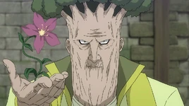 Green Magic | Fairy Tail Wiki | Fandom