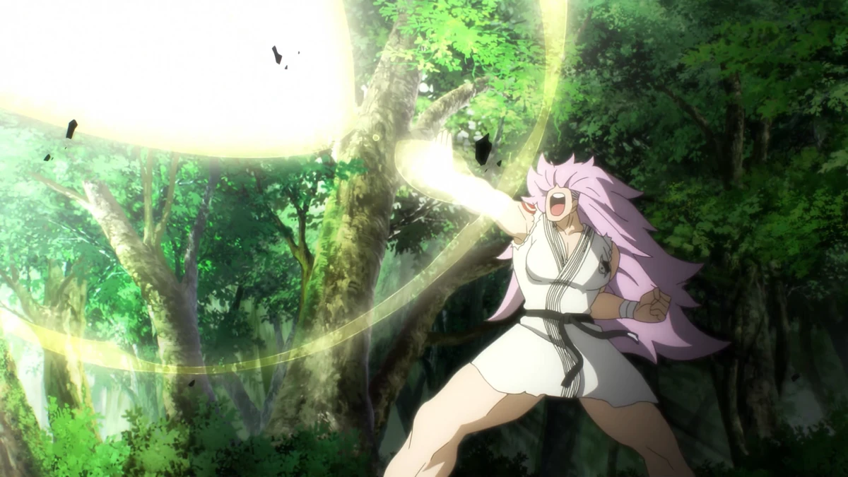 Immovable Palm | Fairy Tail Wiki | Fandom