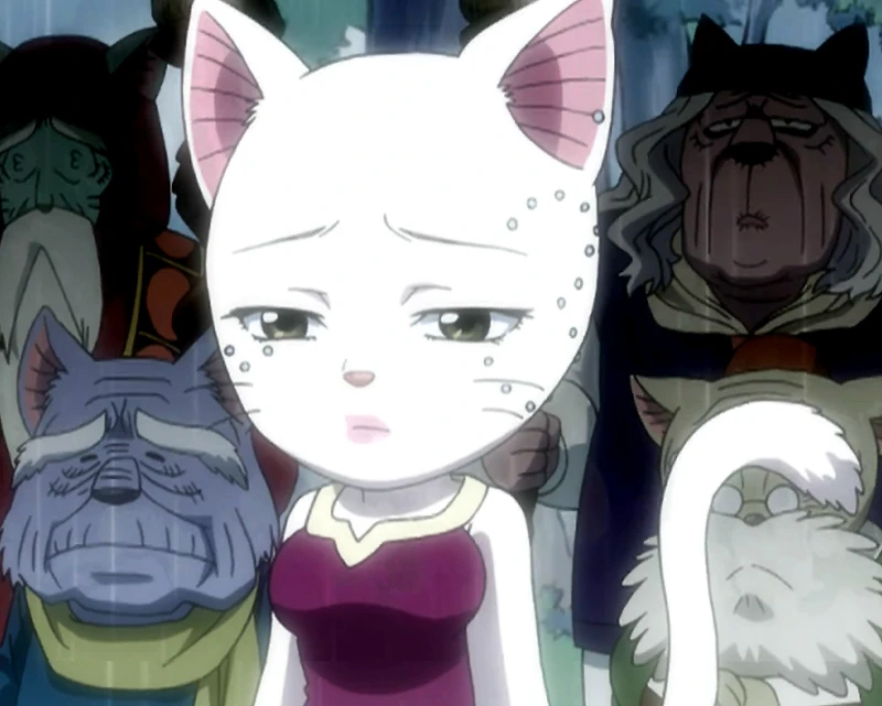 Fairy Tail Exceed