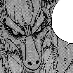 Weisslogia Fairy Tail