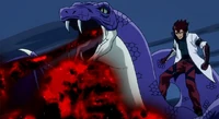 Kinabra/Image Gallery | Fairy Tail Couples Wiki | Fandom