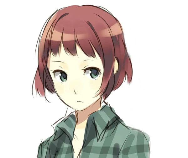 Musou Saiyuuki | Fairy Tail Fanon Wiki | Fandom