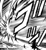 Inferno Phoenix Slayer Magic | Fairy Tail Fanon Wiki | Fandom