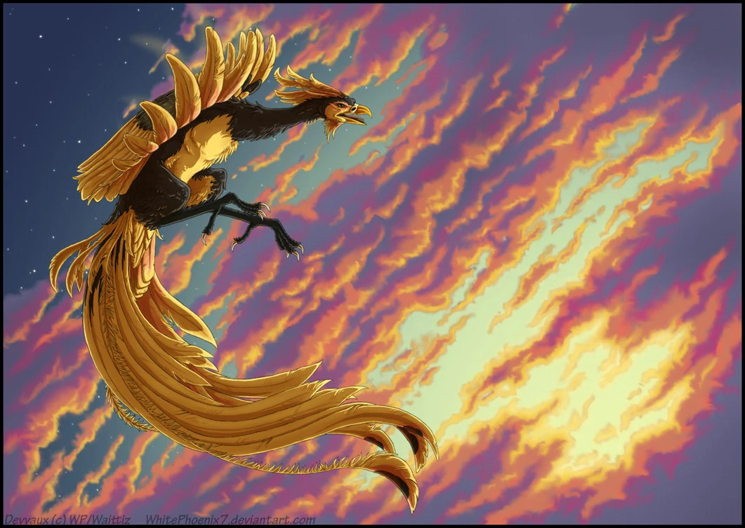 Black Fire Phoenix Slayer Magic | Fairy Tail Fanon Wiki | Fandom