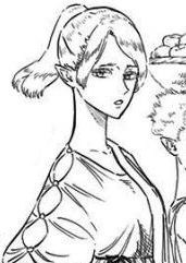 Pallas | Fairy Tail Fanon Wiki | Fandom