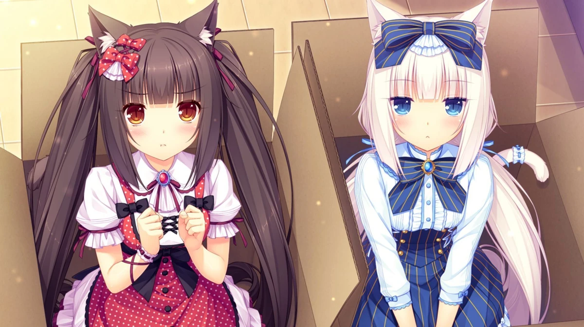 Nekomimi | Wiki Fairy Tail Fanon | Fandom