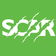 S.C.A.R | Fairy Tail Fanon Wiki | Fandom