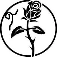 Trinity Rose | Fairy Tail Fanon Wiki | Fandom