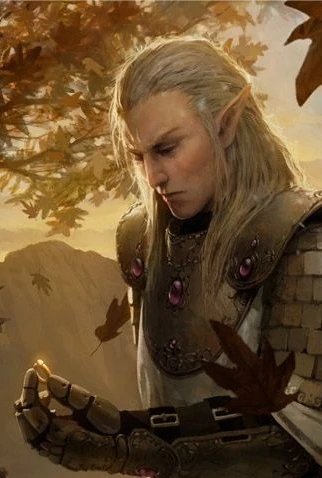 Elves (BD) | Fairy Tail Fanon Wiki | Fandom