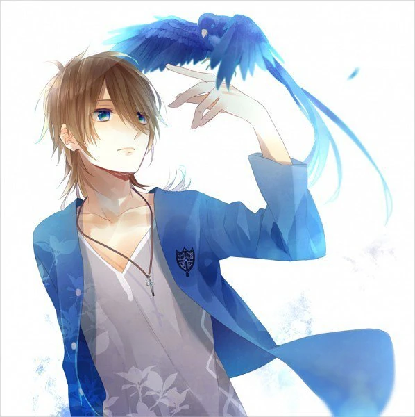 Mamoru | Wiki Fairy Tail Fanon | Fandom