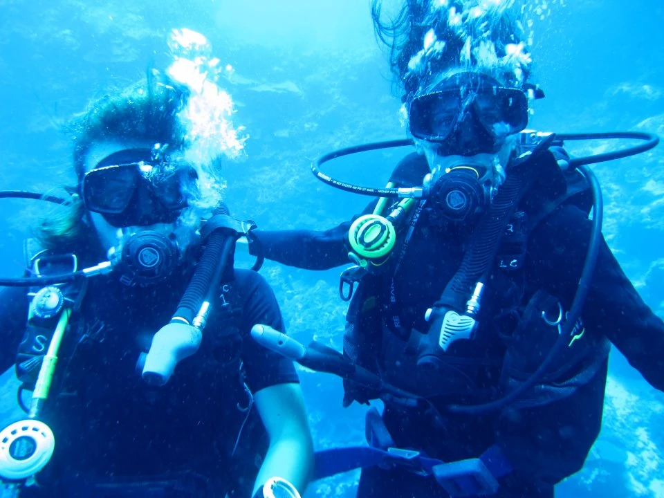 SuBash/Image Gallery | Fairy Tail Fanon Wiki | Fandom