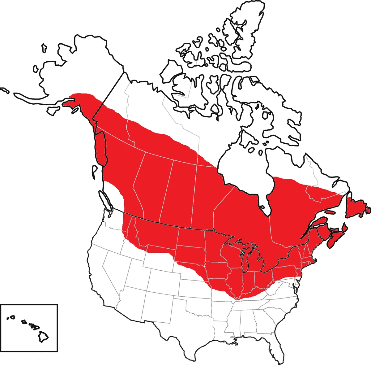 Southern Sheefish | Fake Animals and Their Range Maps Wiki | Fandom