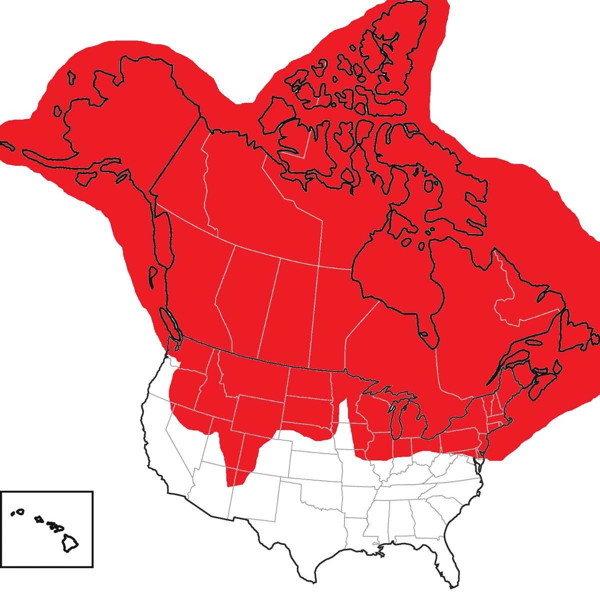 Inland Eider | Fake Animals and Their Range Maps Wiki | Fandom
