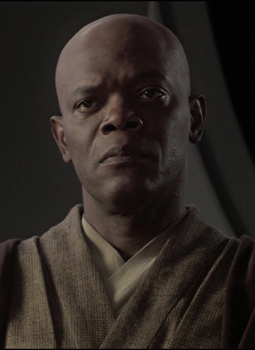 Mace Windu | Fake Characters Wiki | Fandom