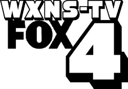 WXNS-TV | Fake Logopedia Wiki | Fandom