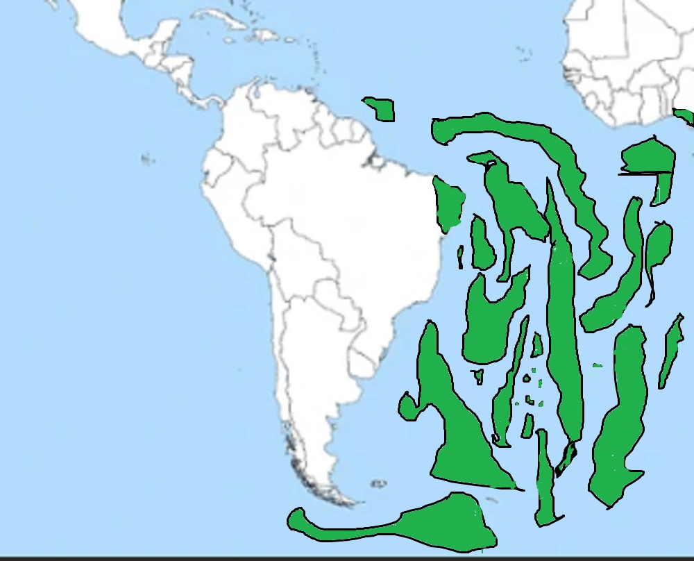 Animal Land | Fake Countries Wikia | Fandom