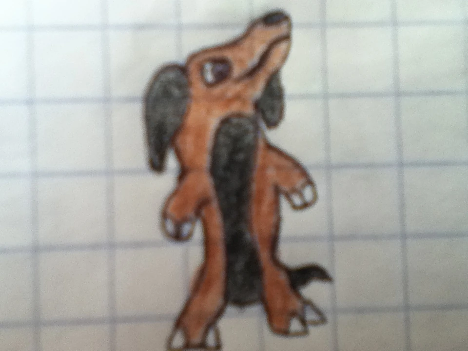 Guana | La Wikia de Pokéfanon | Fandom