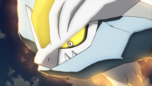 PDD 21 | La Wikia de Pokéfanon | Fandom